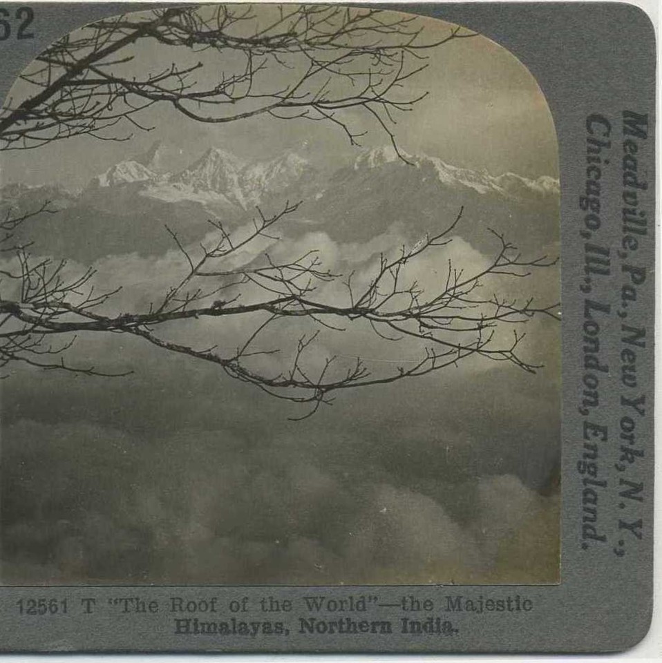 Himalayan Peaks Through Branches, c1920, Darjeeling, West Bengal ...