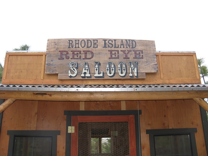 The Rhode Island Red Eye Saloon chicken coop, emailed version only | eBay