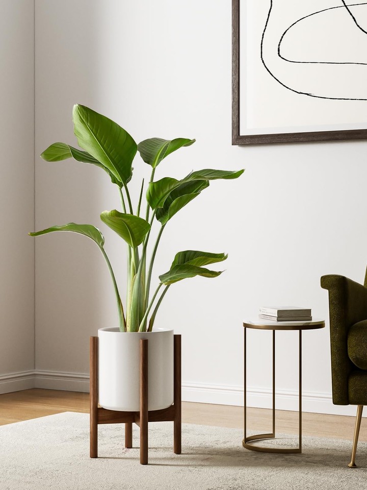 12 Inch Planter with Acacia Wood Stand, Large Ceramic Indoor Plant Pot ...