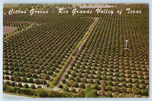 c1960 Texas TX Postcard Citrus Groves Rio Grande Valley Aerial View ...
