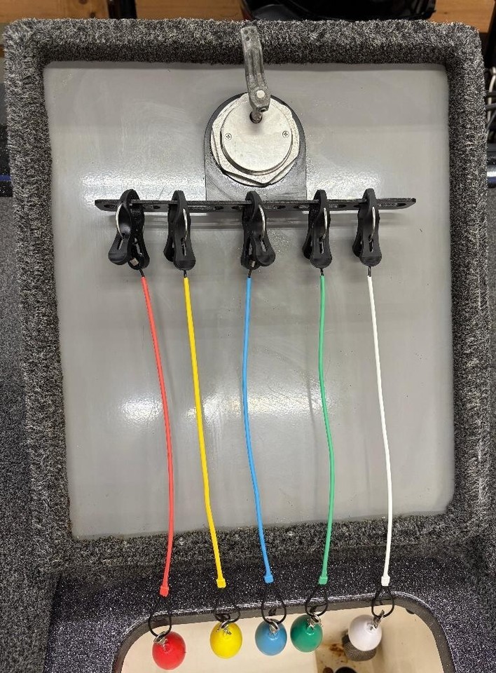 Tournament Cull Tag Holder/Organizer | eBay