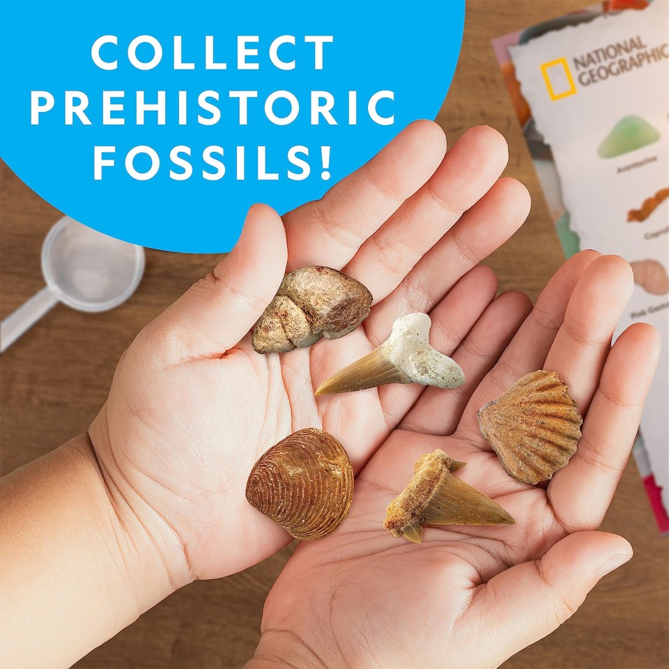 NATIONAL GEOGRAPHIC Rock Collection Box for Kids – 300 Piece Gemstones ...