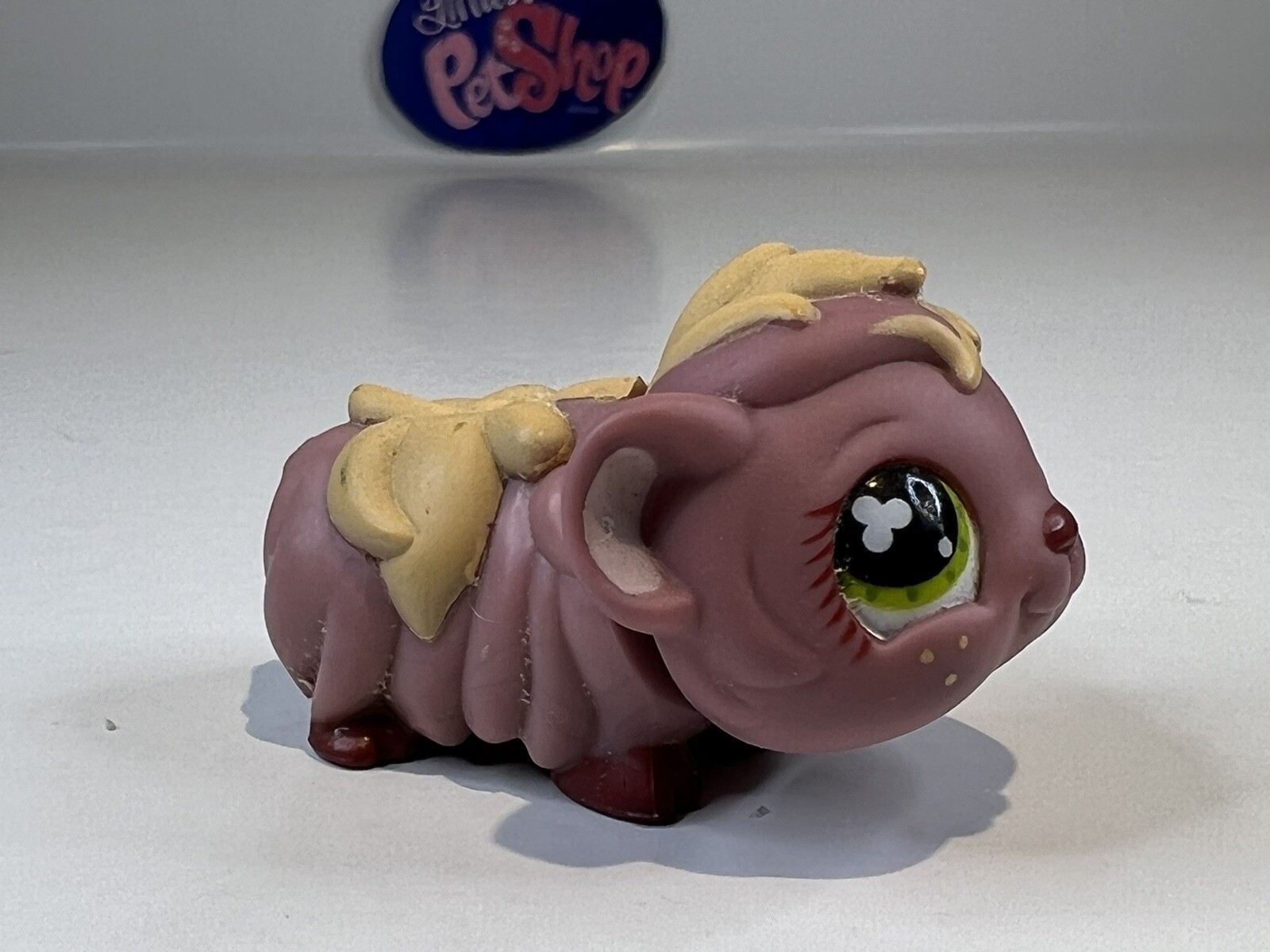 GUINEA PIG #510 - Authentic Littlest Pet Shop - Hasbro LPS | eBay