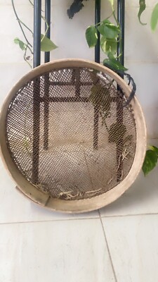Antique Palestinian Wooden Grain Sieve | Primitive Middle Eastern Farm ...