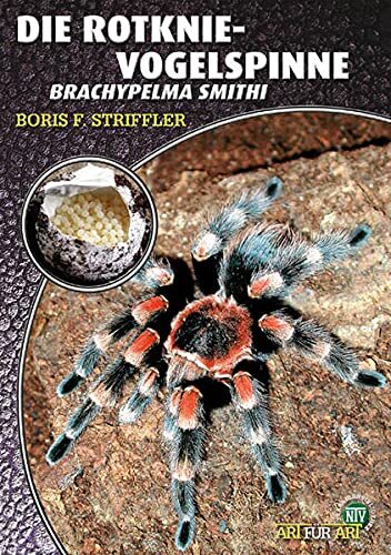Boris F. Striffler Die Rotknievogelspinne. Brachypelma smithi (Relié ...