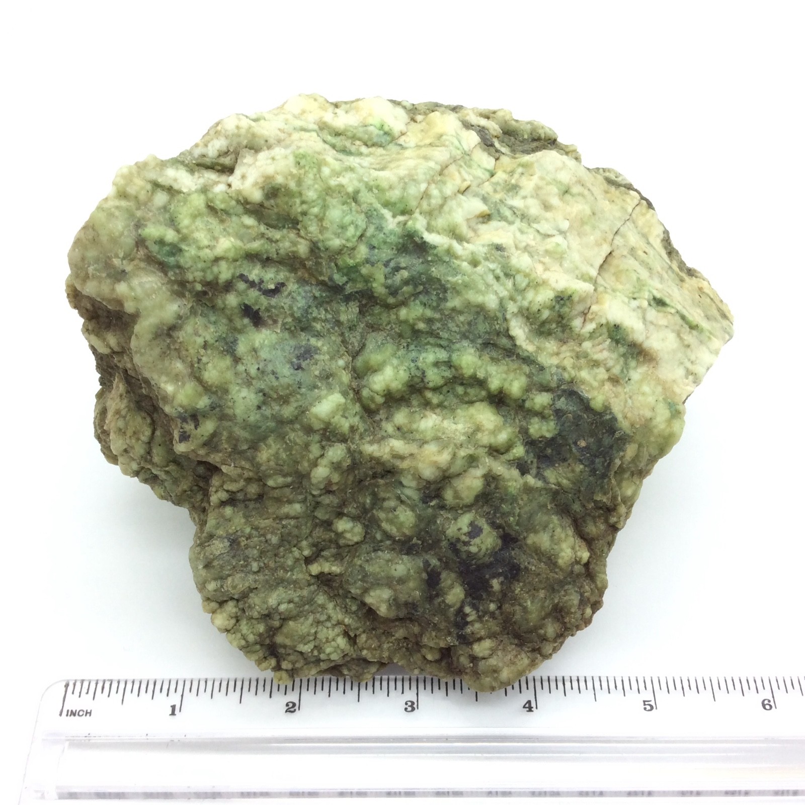 Trinity Alps Botryoidal Jade Stone Green Nephrite Bubble Gem Specimen ...