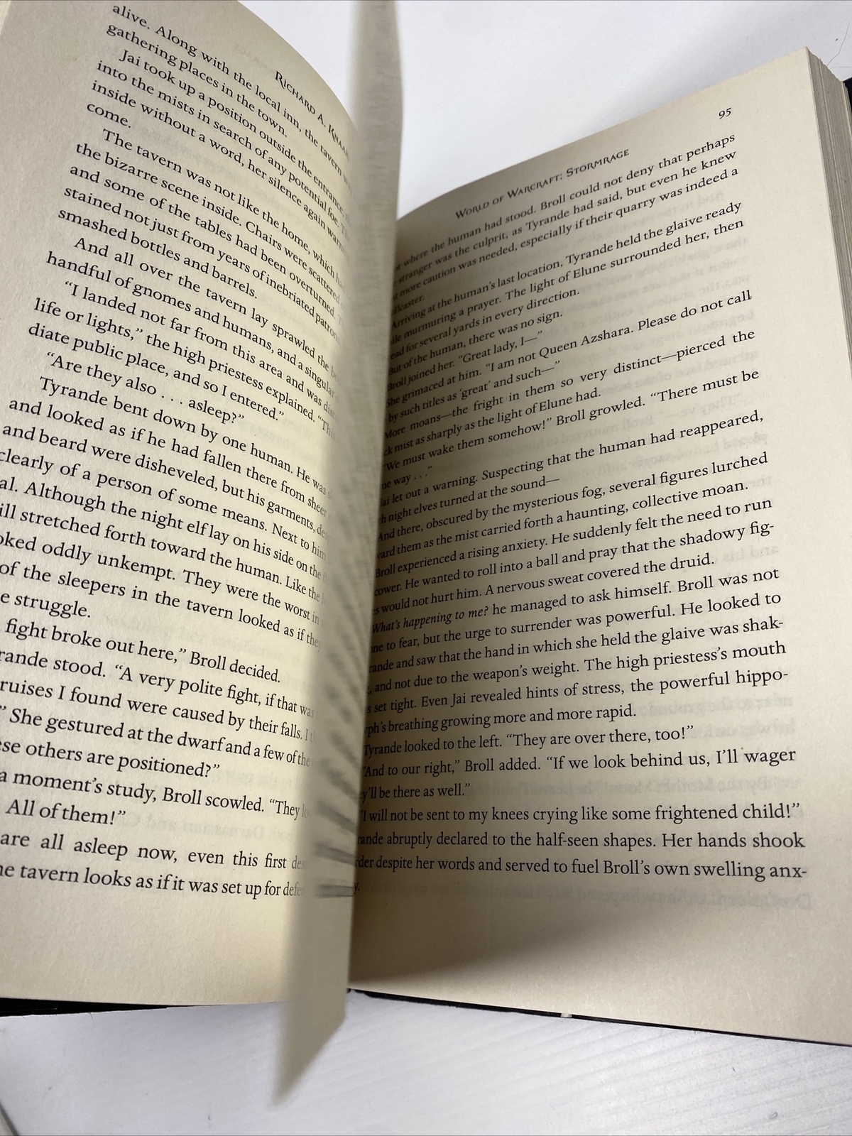 Stormrage by Richard A Knaak (Hardcover, 2010) for sale online | eBay