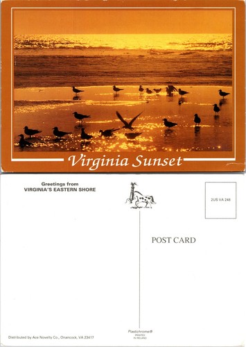 Continental Virginia Sunset Eastern Shore Virginia VA Postcard | eBay