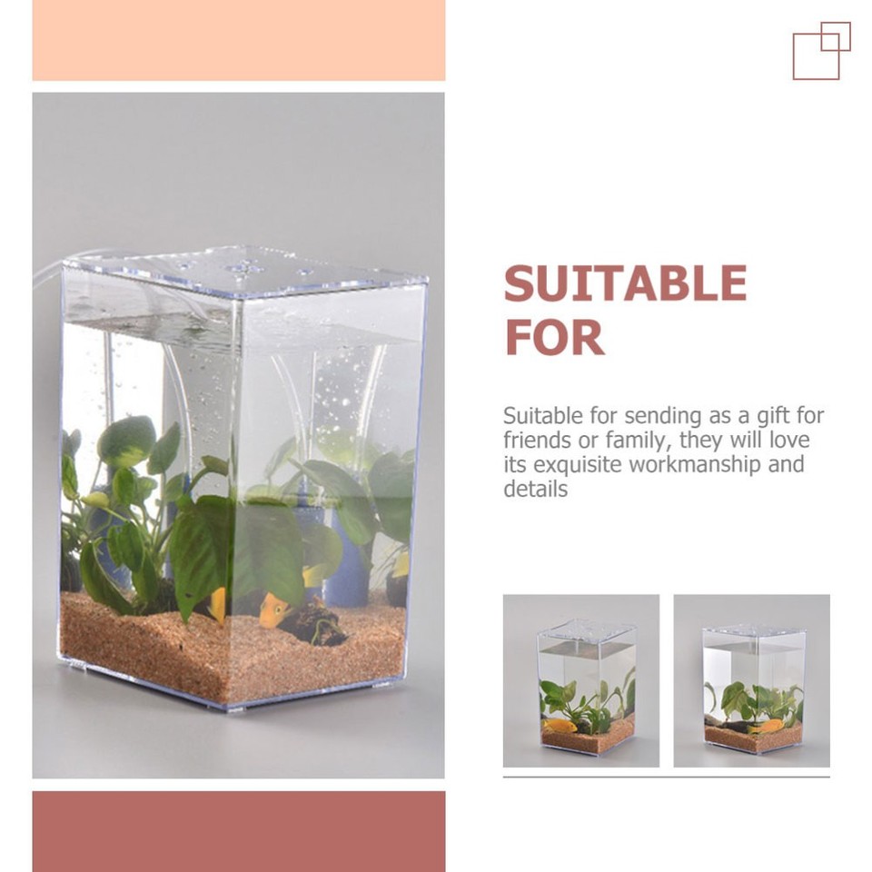 2 Count Thai Fish Tank Desktop Ornamental Container for Live Betta ...
