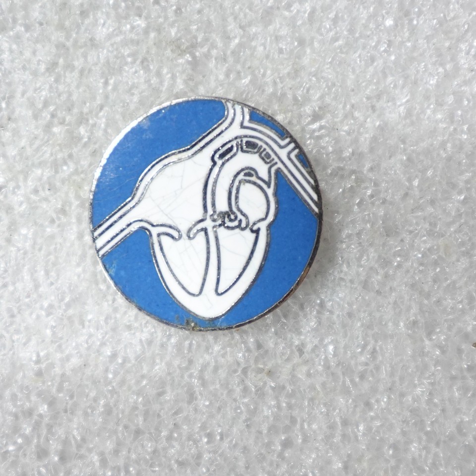 Anatomical Heart Lapel Pin – Blue Medical Symbol, Cardiology Healthcare ...