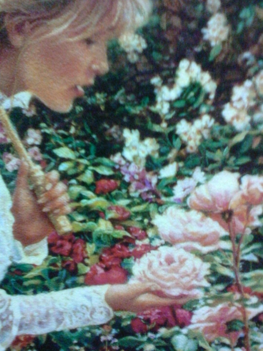 Susan Amidon's Instagram, Twitter & Facebook on IDCrawl