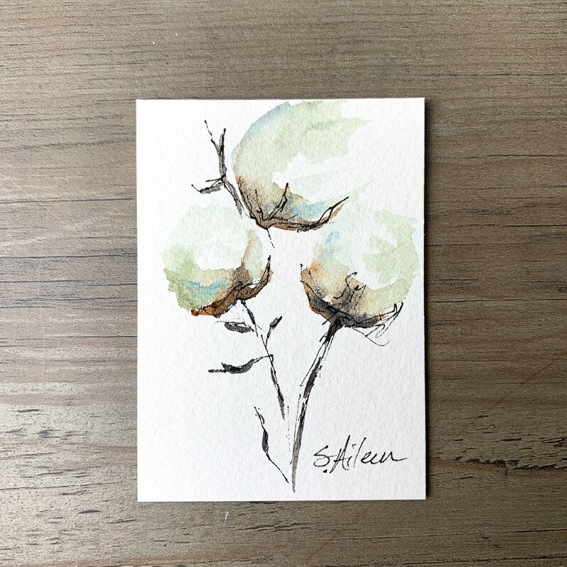 ACEO Painting Watercolor Ink Cotton Boll Botanical Farm Life ...