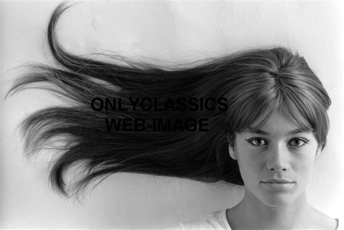 Sexy Actress Françoise Hardy Glamour Fashion Flowing Hair 8x12 Photo ...