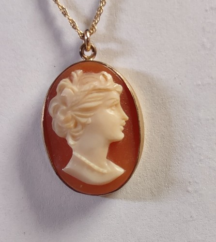 7/8" Vintage Cameo Carved Shell Necklace 18" Chain, Encased In A Gold ...