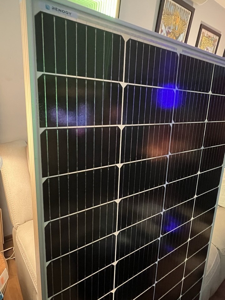 Renogy RSP200D 200 Watt 12 Volt Monocrystalline Solar Panel | eBay