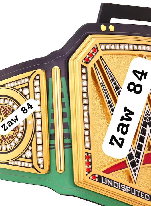 New 2024 Universal Undisputed Money In The Bank Wrestling Championship ...