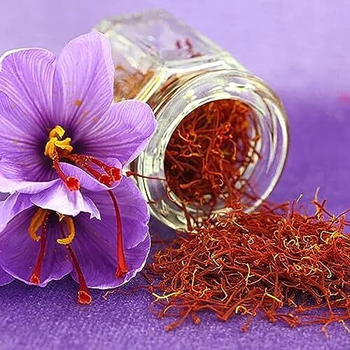 100 Saffron Plant Seeds | eBay