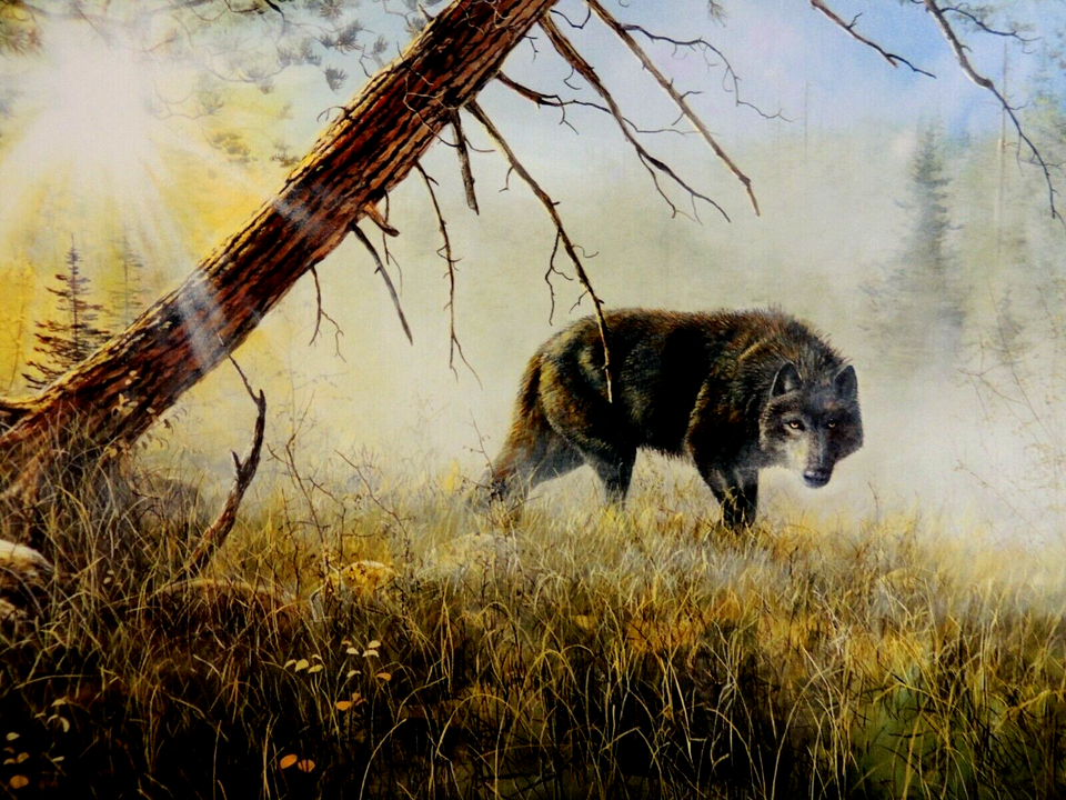 WOLF PICTURE WILDLIFE "EYES IN THE MIST" JIM HANSEL MATTED FRAMED 16X12 ...