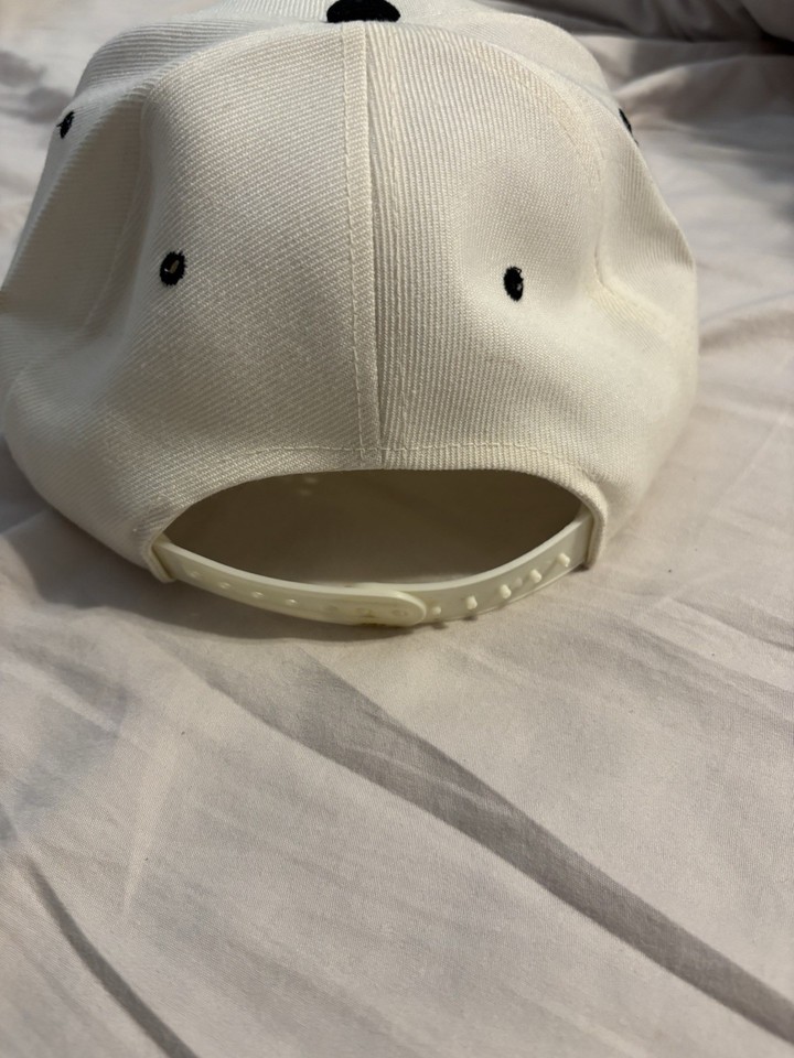 Carolina Panthers 1996 NFC West division Champions Hat | eBay