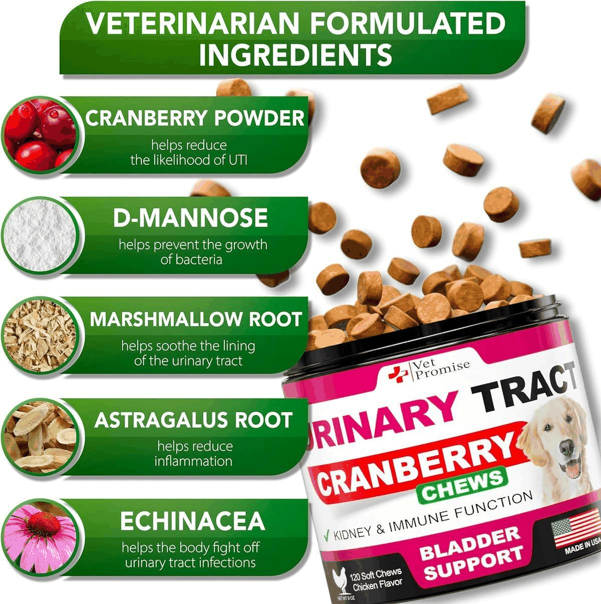 Dog UTI Treatment Cranberry Supplement for Dogs UTI Bladder Control for ...