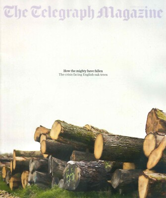 UK Telegraph Magazine: Steve McQueen, Edith Bowman, R. Madeley, Mark ...