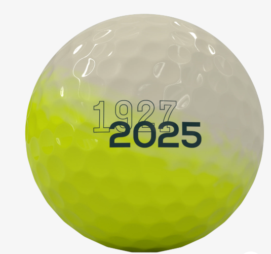 Vice Pro Shade ARCHIVE Limited Edition Golf Balls | eBay