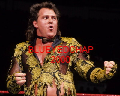 BRUTUS BEEFCAKE WRESTLER 8 X 10 WRESTLNG PHOTO WWF | eBay