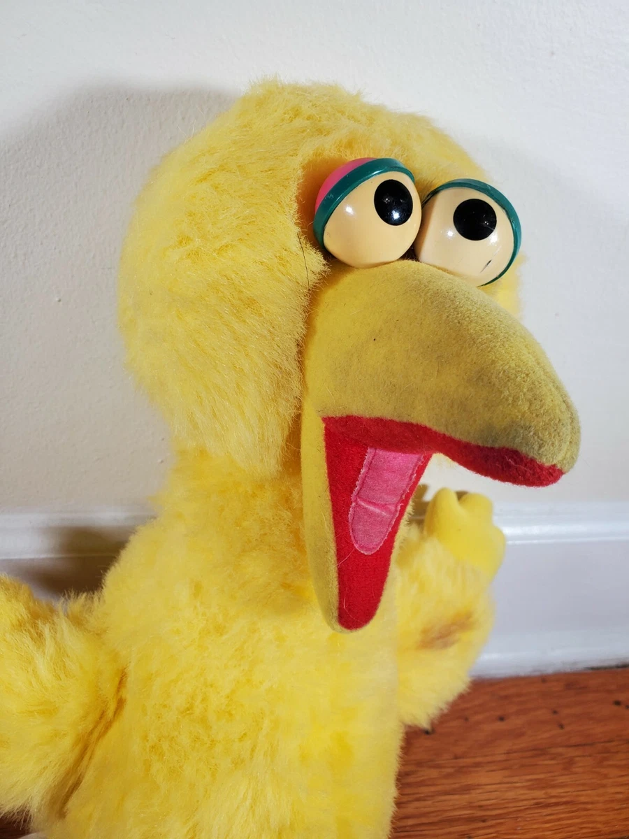 Big Bird How It Works
