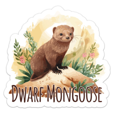 Watercolor Dwarf Mongoose Animal Vinyl Decal Car Bumper Sticker | eBay