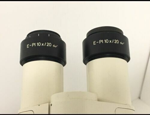 CARL ZEISS Axiolab Microscope w/ 10x 40x 100x CP-Achromat Objectives 3 ...