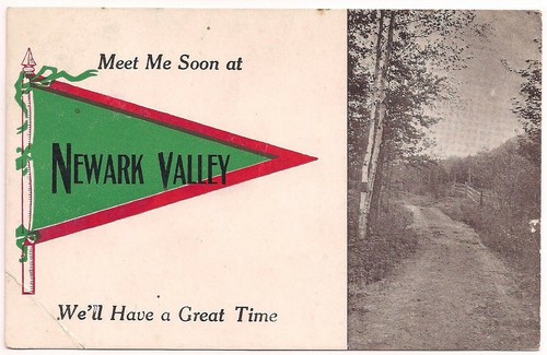 Postcard NY Pennant Flag Great Time In Newark Valley Tioga County New ...
