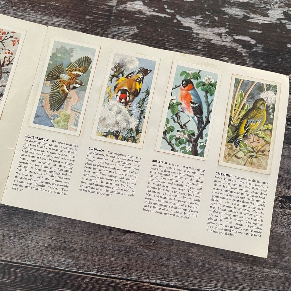 Brooke Bond PG Tips Bird Portraits Tea Cards Album Complete | eBay UK