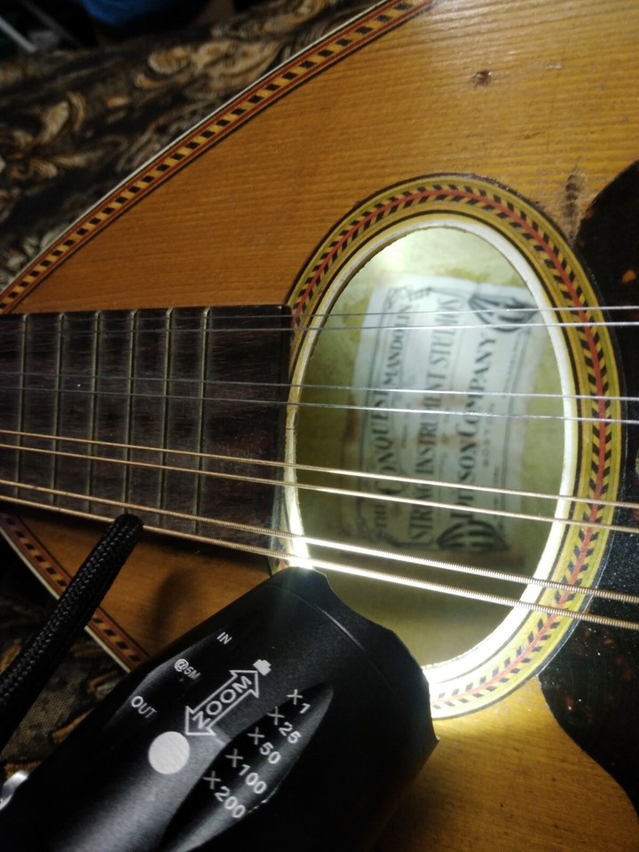 Antique Ditson "The Conquest Mandolin" | eBay