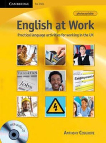 Anglais au Travail Avec Audio CD: Practical Language Activités pour ...