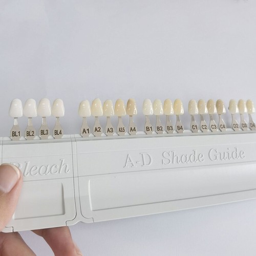 lvoclar Vivadent Dental Teeth Shade Guides A-D 20 Colors Porcelain ...