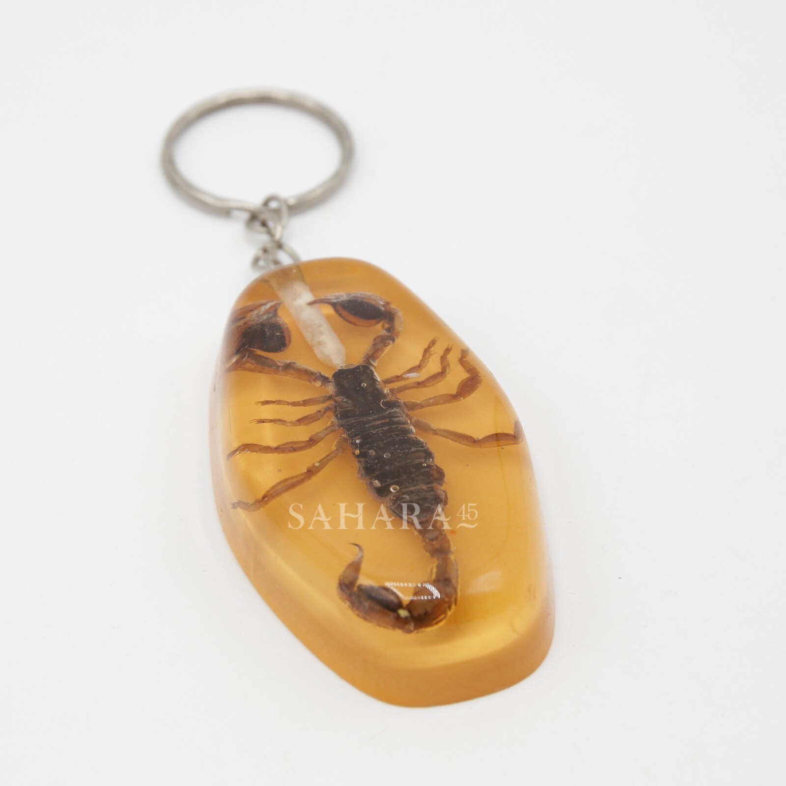Scorpion Keychain, Real Insect, Scorpion Resin Keychain | eBay