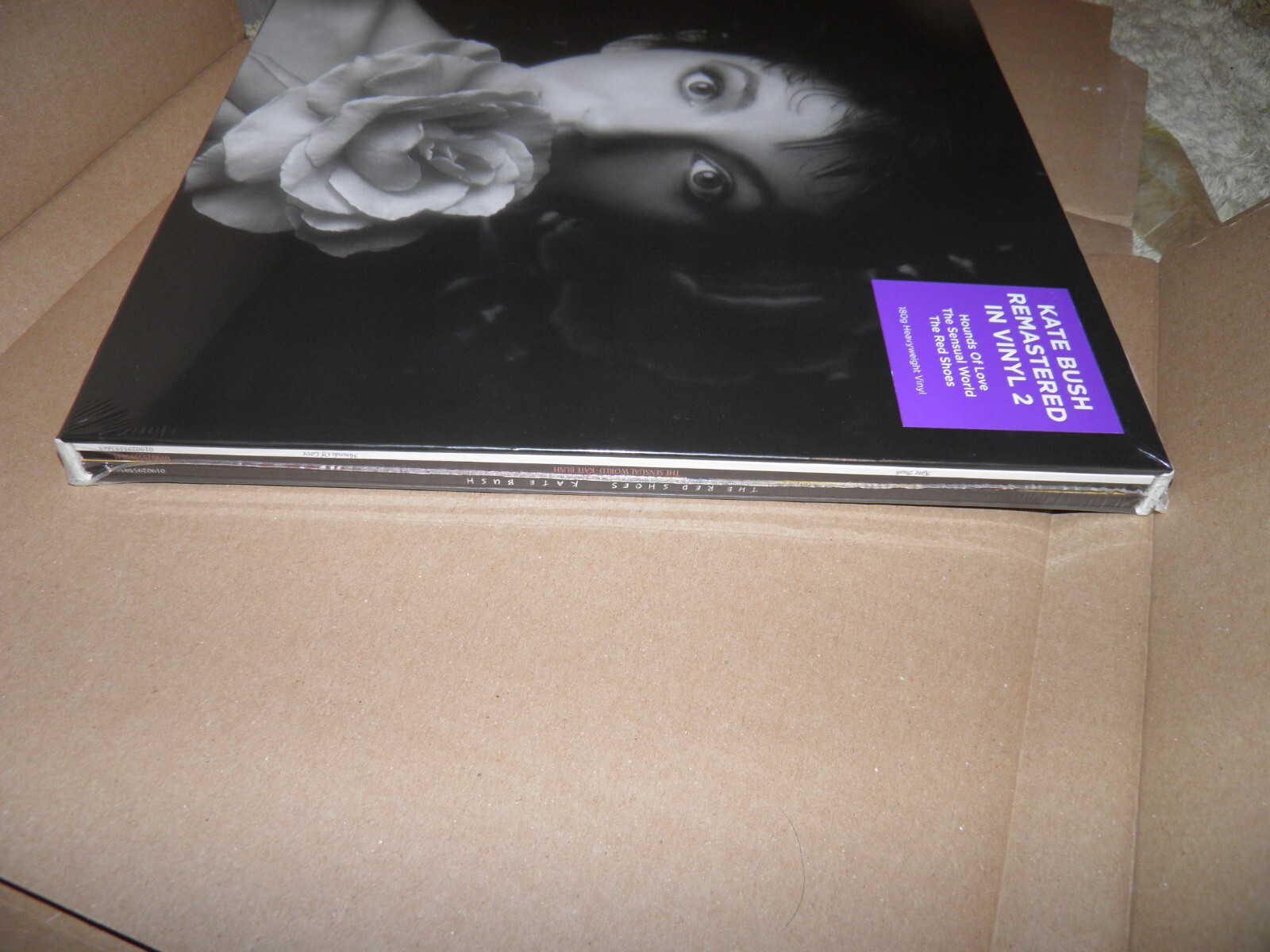 Kate Bush Remastered in Vinyl 12" LP - Set of 4 for sale online | eBay