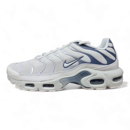 NIKE AIR MAX PLUS TN TUNED "ASHEN SLATE" TRAINERS (DZ3671 104) 90 95 97 ...