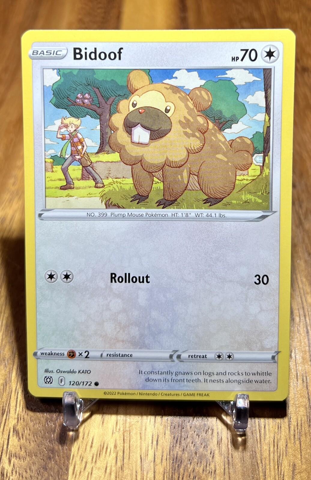Bidoof 120/172 Non Holo Common Brilliant Stars Pokemon Card NM | eBay