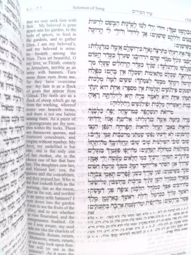 TANAKH JEWISH HOLY BIBLE BOOK TANAKH TORAH + NEVIIM +KETUVIM HEBREW AND ...