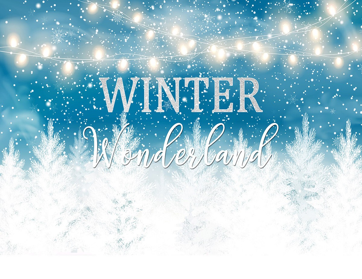 Winter Wonderland Backdrop