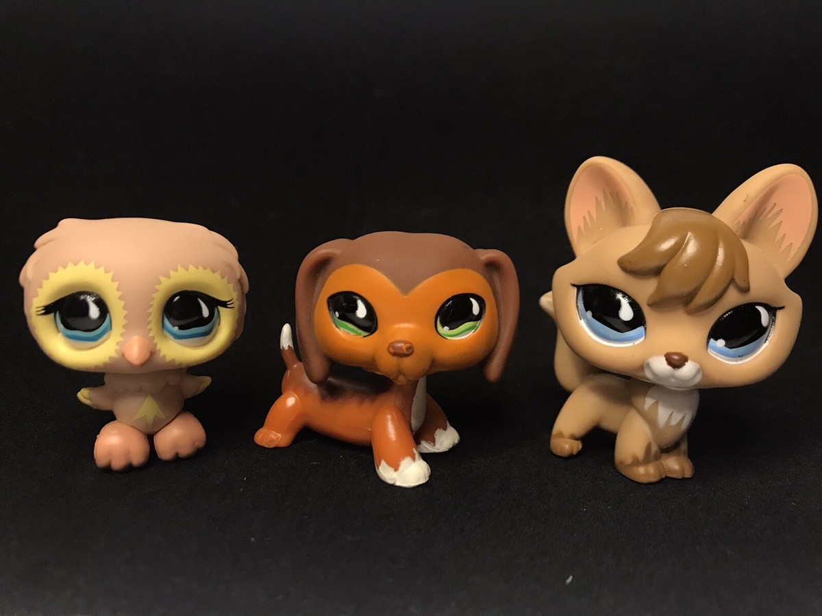 Littlest Pet Shop Dachshund 675