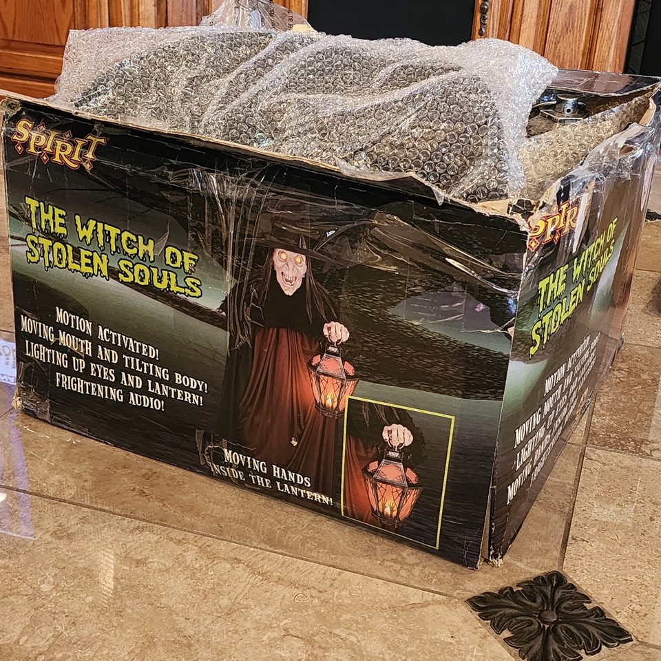 Spirit Halloween Animated Life Size Animatronic Prop Witch of Stolen ...