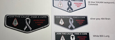 Aracoma 481 Cancer Awareness flap Brain cancer silver/gray border#1 | eBay