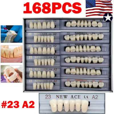 168Pcs Acrylic Resin Denture #23 Dental Upper Lower Shade A2 Teeth Set ...