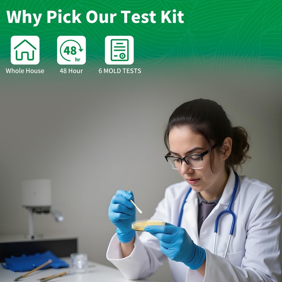 Mold Test Kit for Home - 6 Simple Mold Test kit,Test HVAC System ...