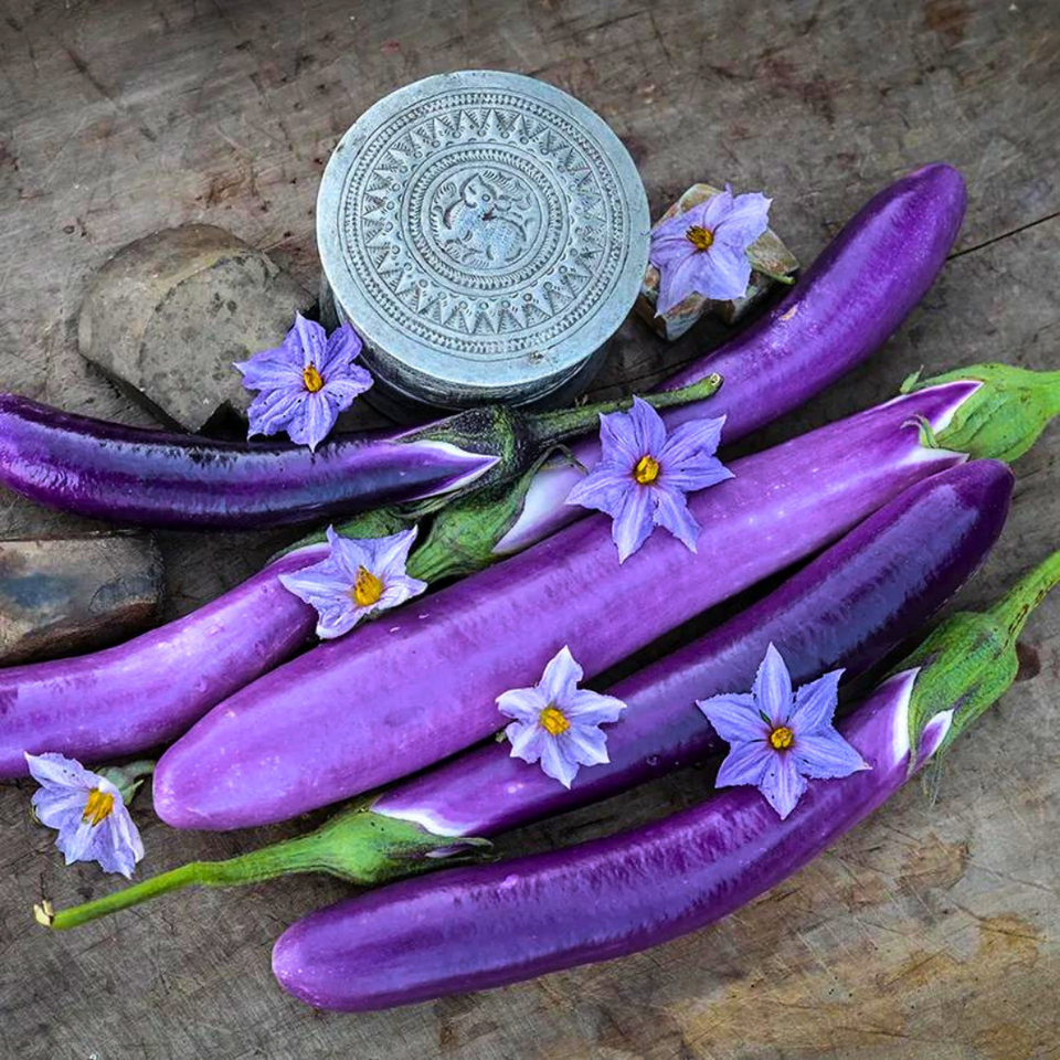 Chinese Eggplant Seeds