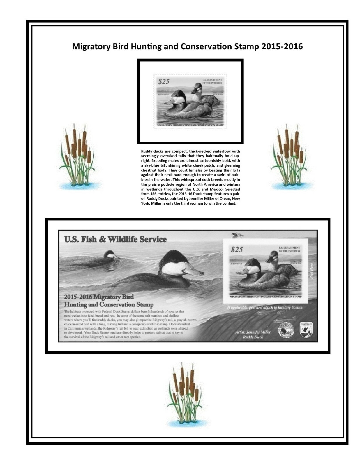 Part II: Mac's RW65-latest 1998-current U.S. Federal Duck Stamp Album ...