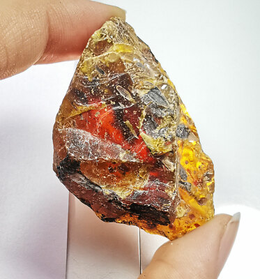 55.50 Ct Natural Real Amber, Rare Amber Rough Stone Raw Amber Rough ...