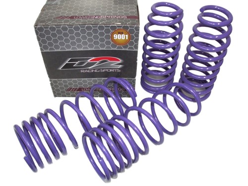 D2 Racing Lowering Springs for 98-02 Accord 99-03 TL 01-03 CL [2.5"F/2. ...